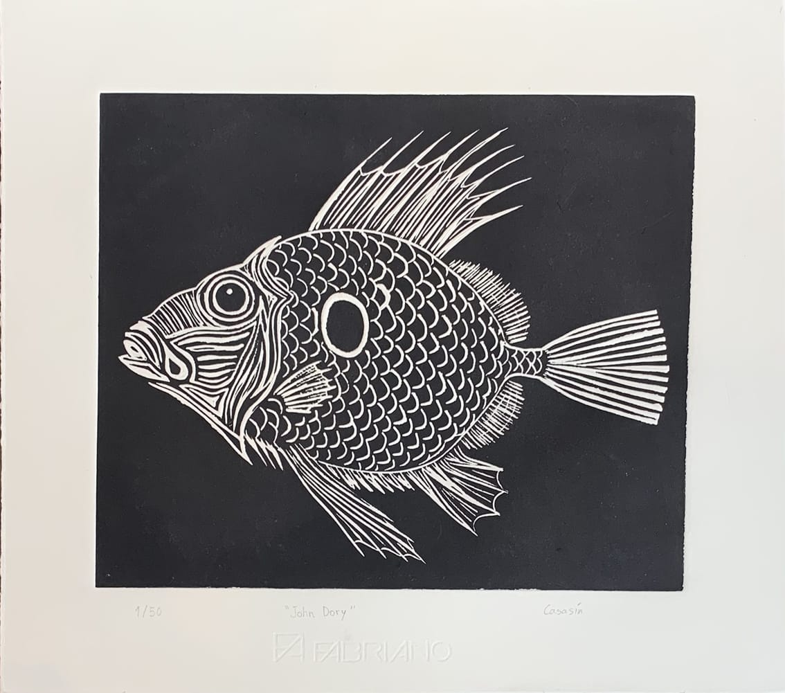 John Dory fish print by Carles Casasin - at The Russell Gallery